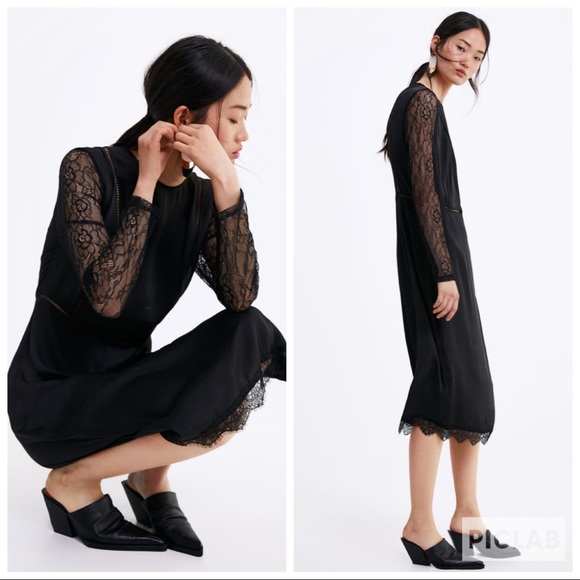 Zara | Dresses | Nwt Zara Contrasting Lace Dress | Poshmark